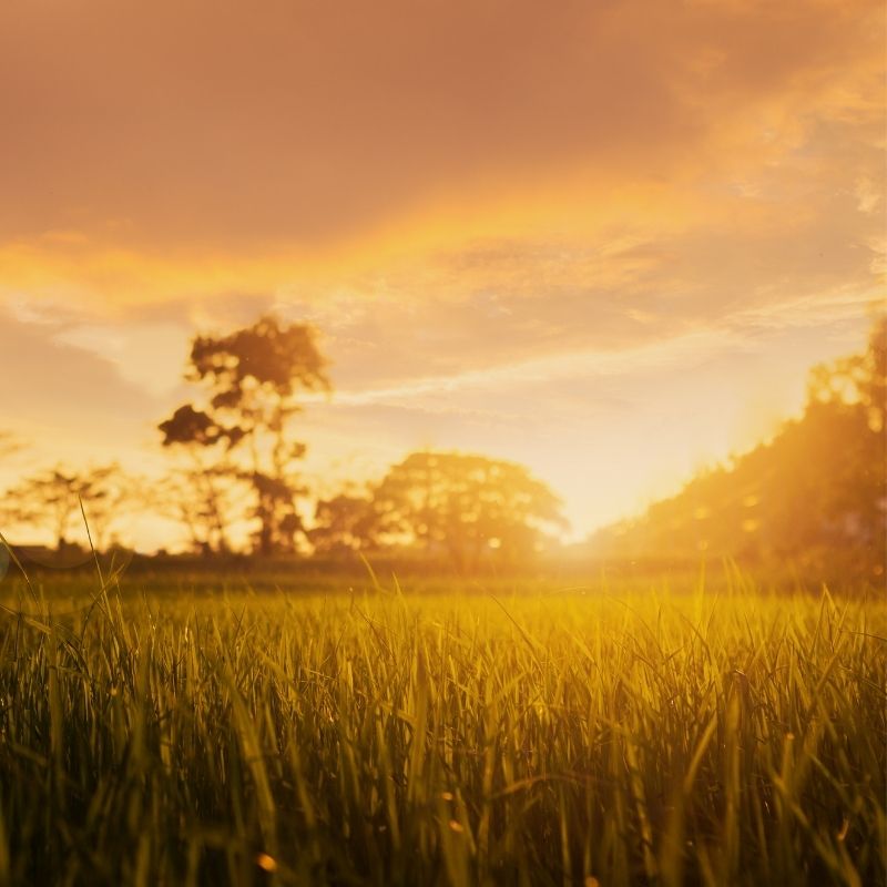 Creating Social Closeness and Closure during Social Distancing and ...